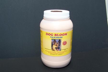 English Cream Golden Retriever & Irish Setter Breeder in Pittsburgh PA ...